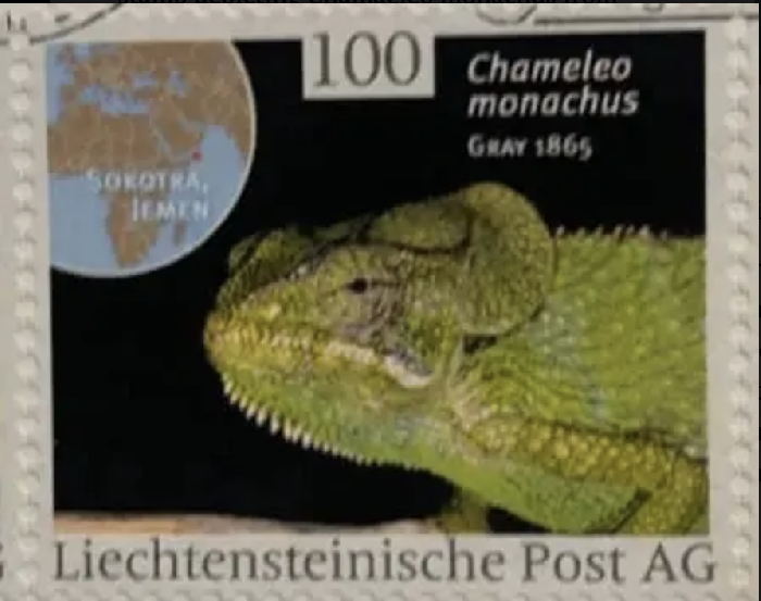 Chameleon Stamps :: Chameleons