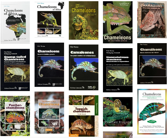 Chameleon Literature :: Chameleons