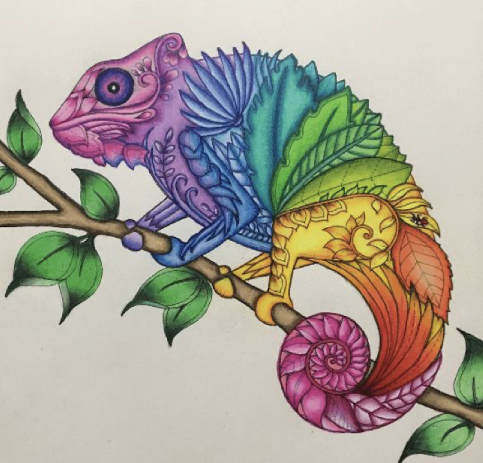 Chameleon Coloring Charts :: Chameleons