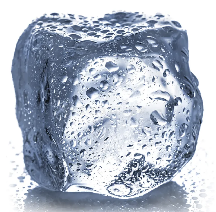 Hydration Using Ice Cube? :: Chameleons