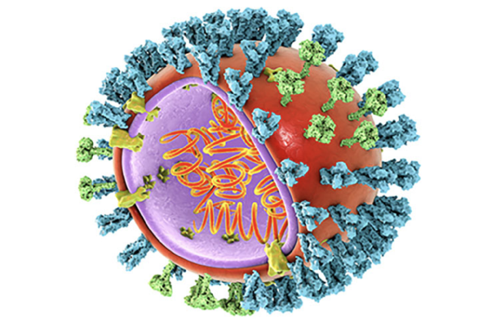 Influenza — The Chameleon Virus :: Chameleons